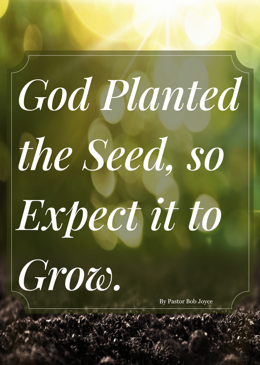 God Planted the Seed so Expect it to Grow | George Magazine