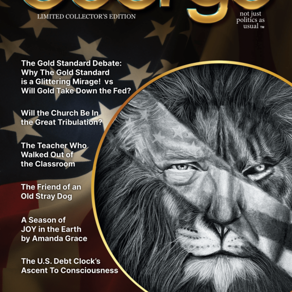 GEORGE Magazine Issue 12 | George Magazine