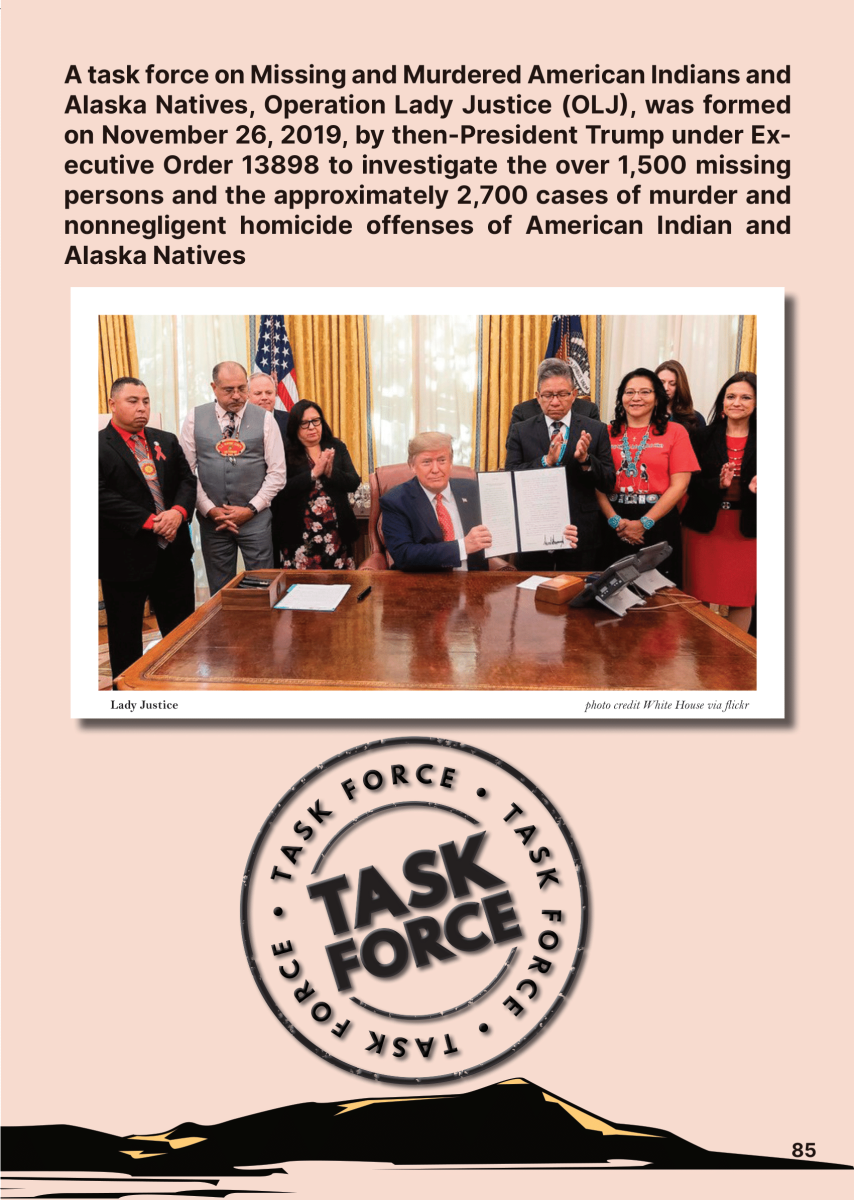 Operation Lady Justice | George Magazine