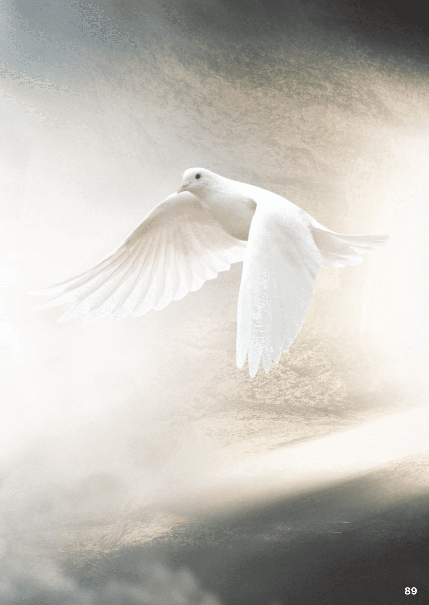 Christ, The Stumblingstone | George Magazine
