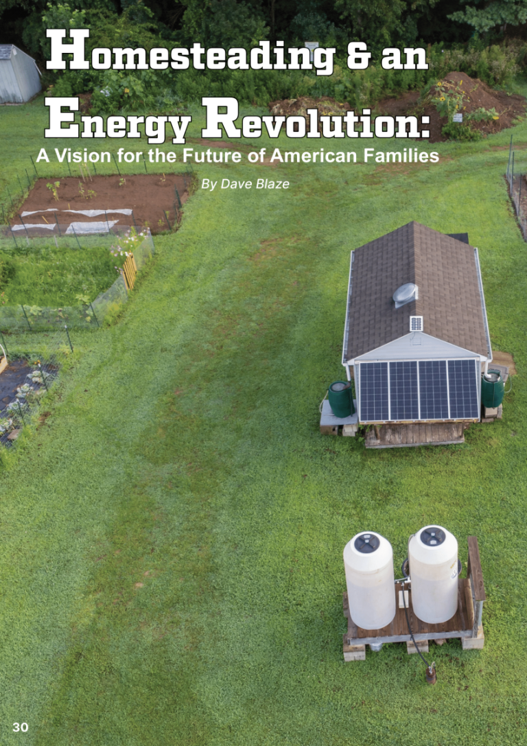 HOMESTEADING and an Energy Revolution | George Magazine